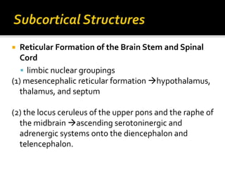 Limbic system brain | PPTX