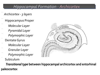 Limbic system brain | PPTX