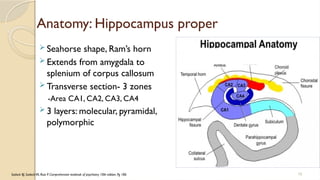 limbic system presentation psychiatry ppt | PPTX