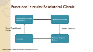 limbic system presentation psychiatry ppt | PPTX
