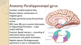 limbic system presentation psychiatry ppt | PPTX