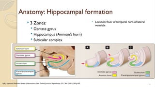 limbic system presentation psychiatry ppt | PPTX