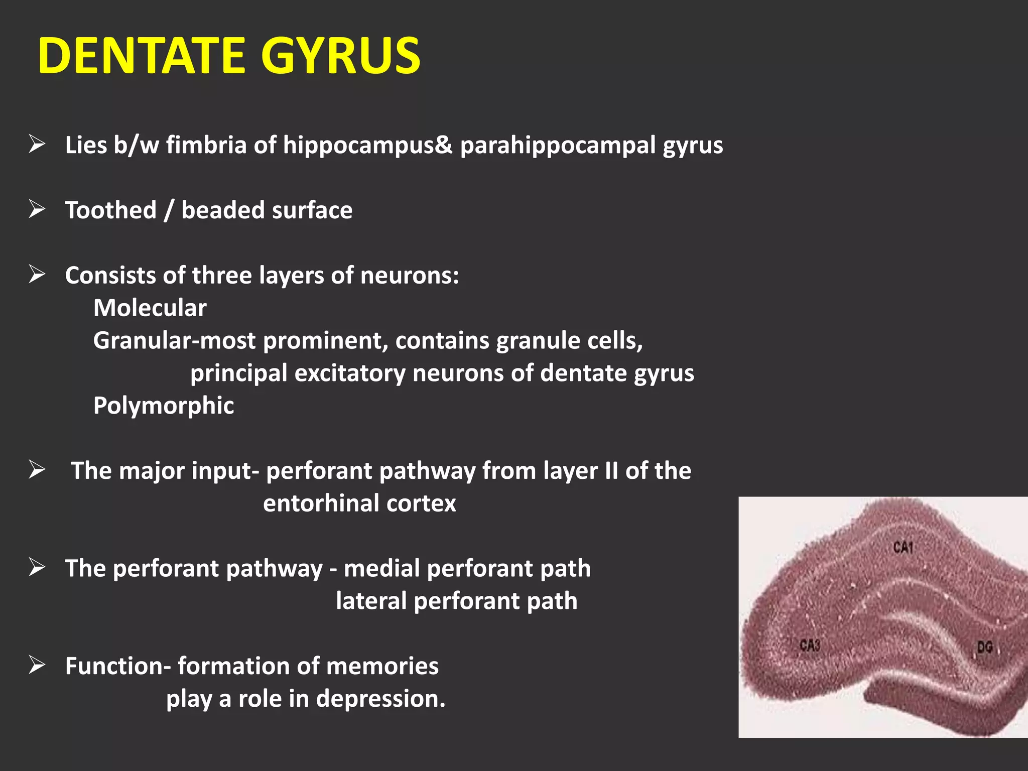 Limbic system | PPTX