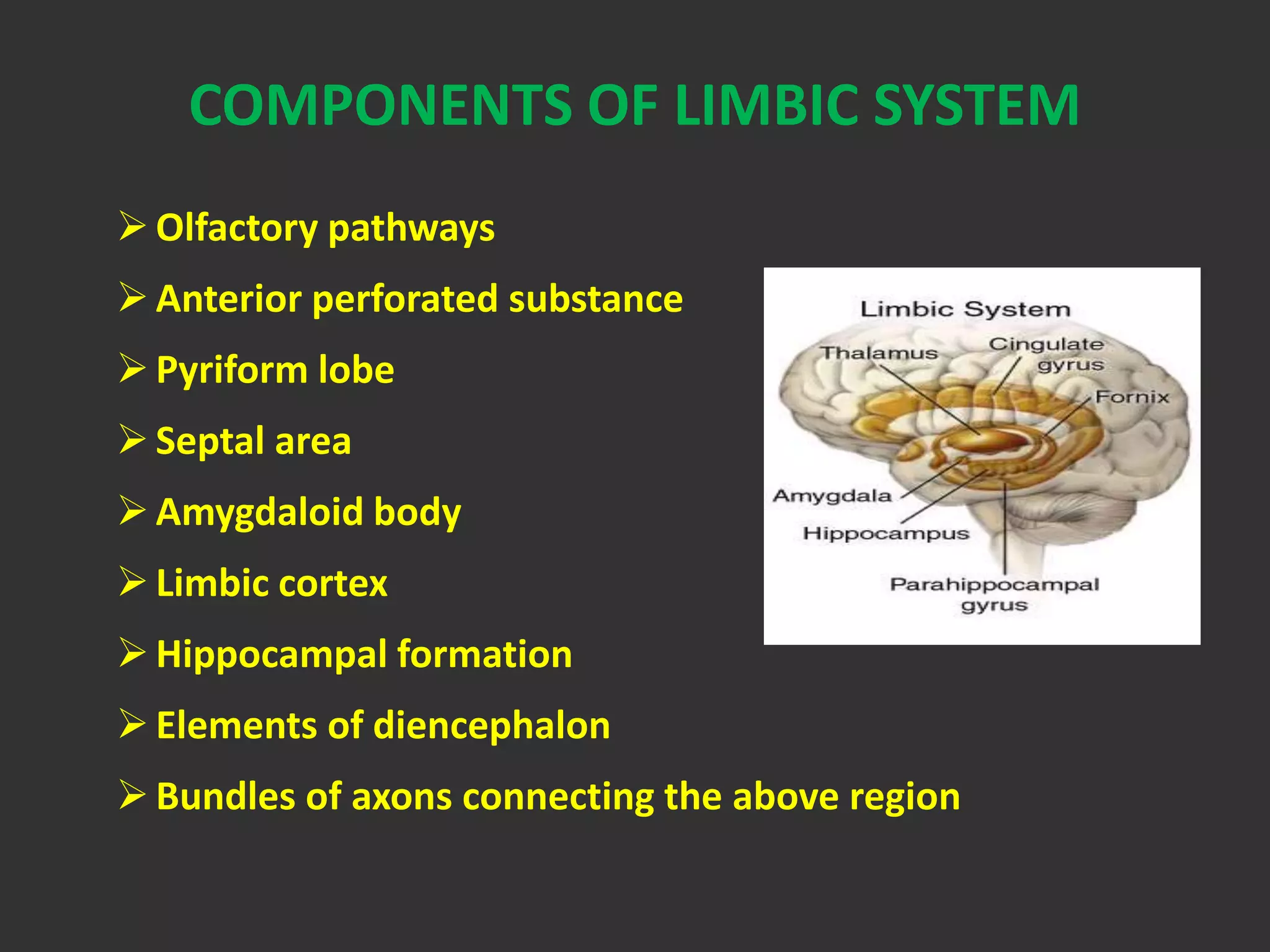 Limbic system | PPTX