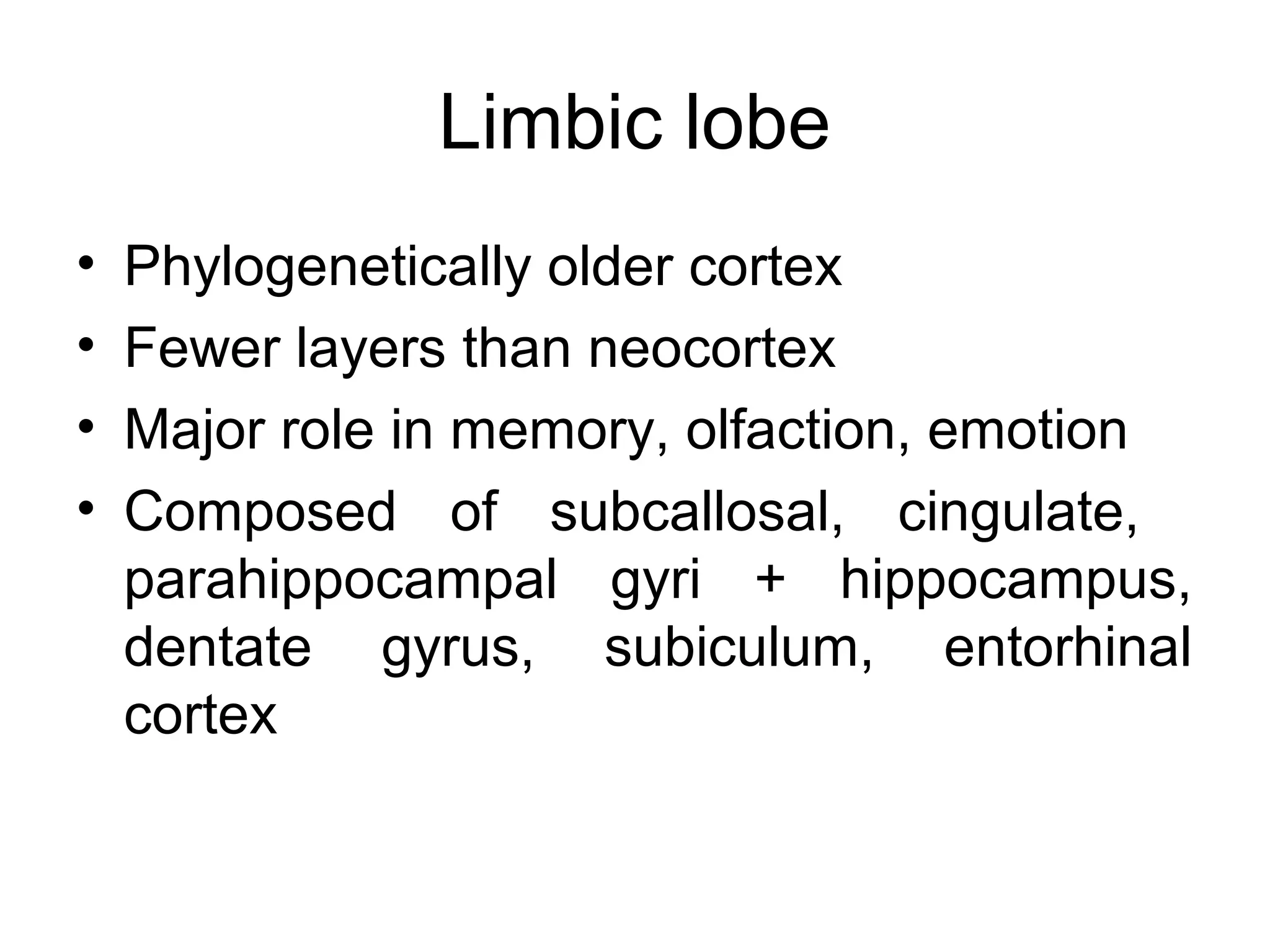 Limbic system | PPT