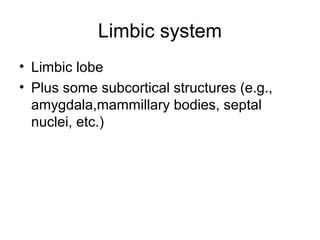 Limbic system | PPT