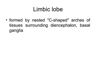 Limbic system | PPT