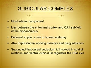 Limbic system | PPTX