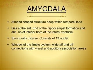 Limbic system | PPTX