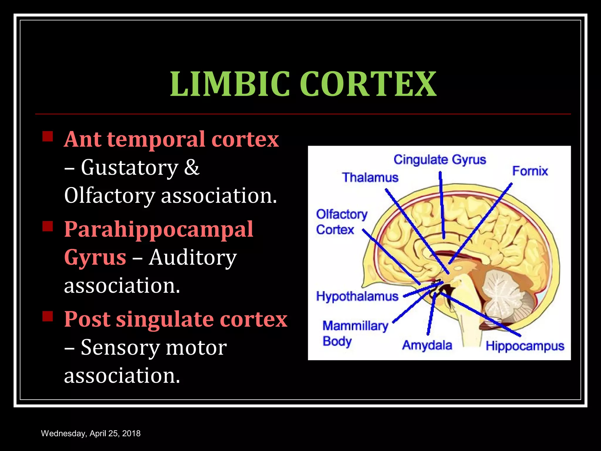LIMBIC SYSTEM | PPT