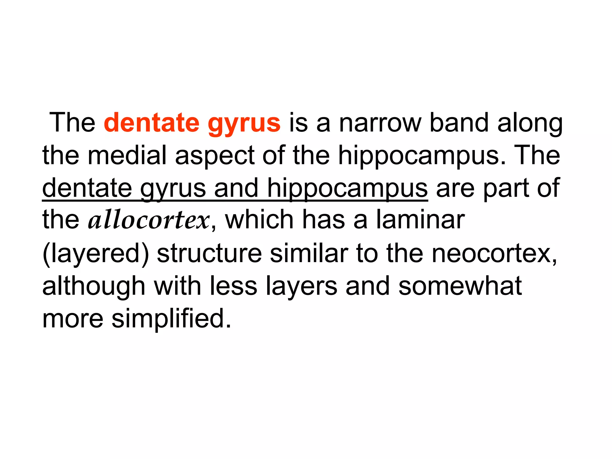 Limbic system | PPT