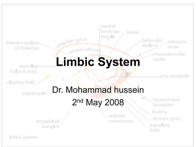 Limbic system | PPT