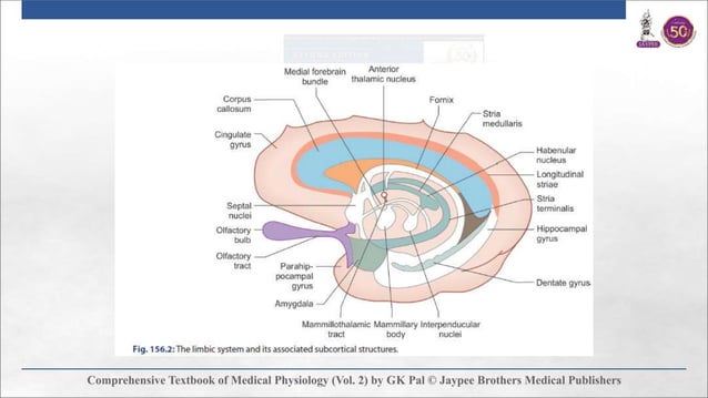 Limbic System.pptx