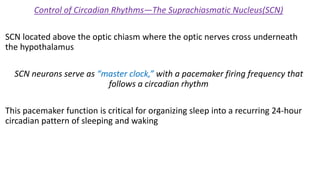 LIMBIC SYSTEM.pptx