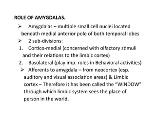 LIMBIC SYSTEM.docx