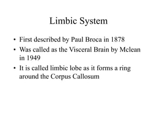 Limbic System.ppt