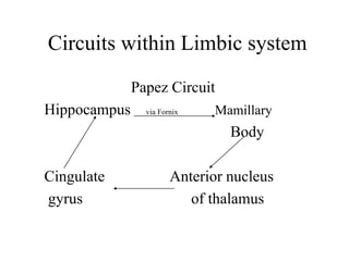 Limbic System.ppt