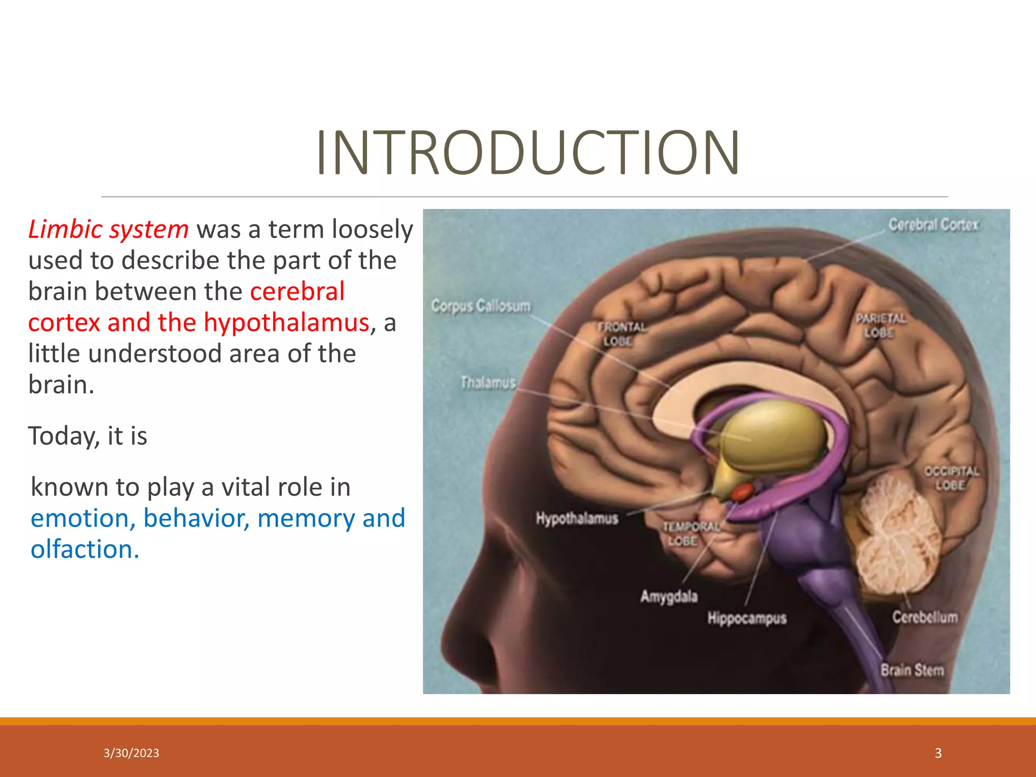 limbic system.pptx