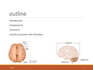 limbic system.pptx