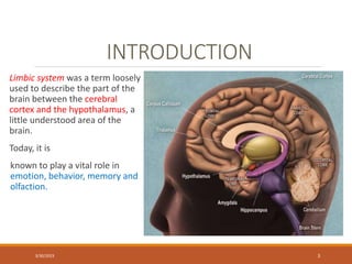 limbic system.pptx
