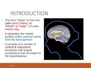 limbic system.pptx