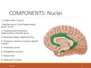 limbic system.pptx