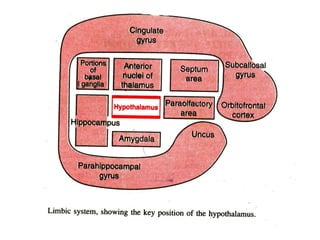 LIMBIC SYSTEM.ppt