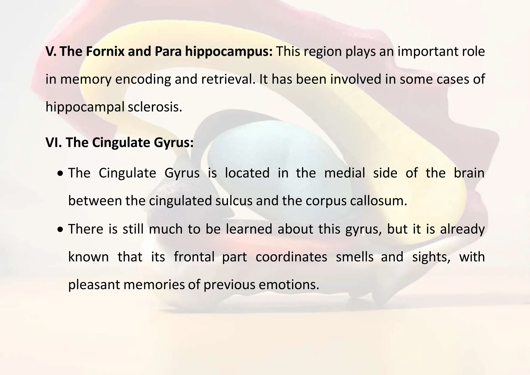 LIMBIC SYSTEM VENTICLES OF BRAIN CSF AND ITS FUNCTIONS | PPTX