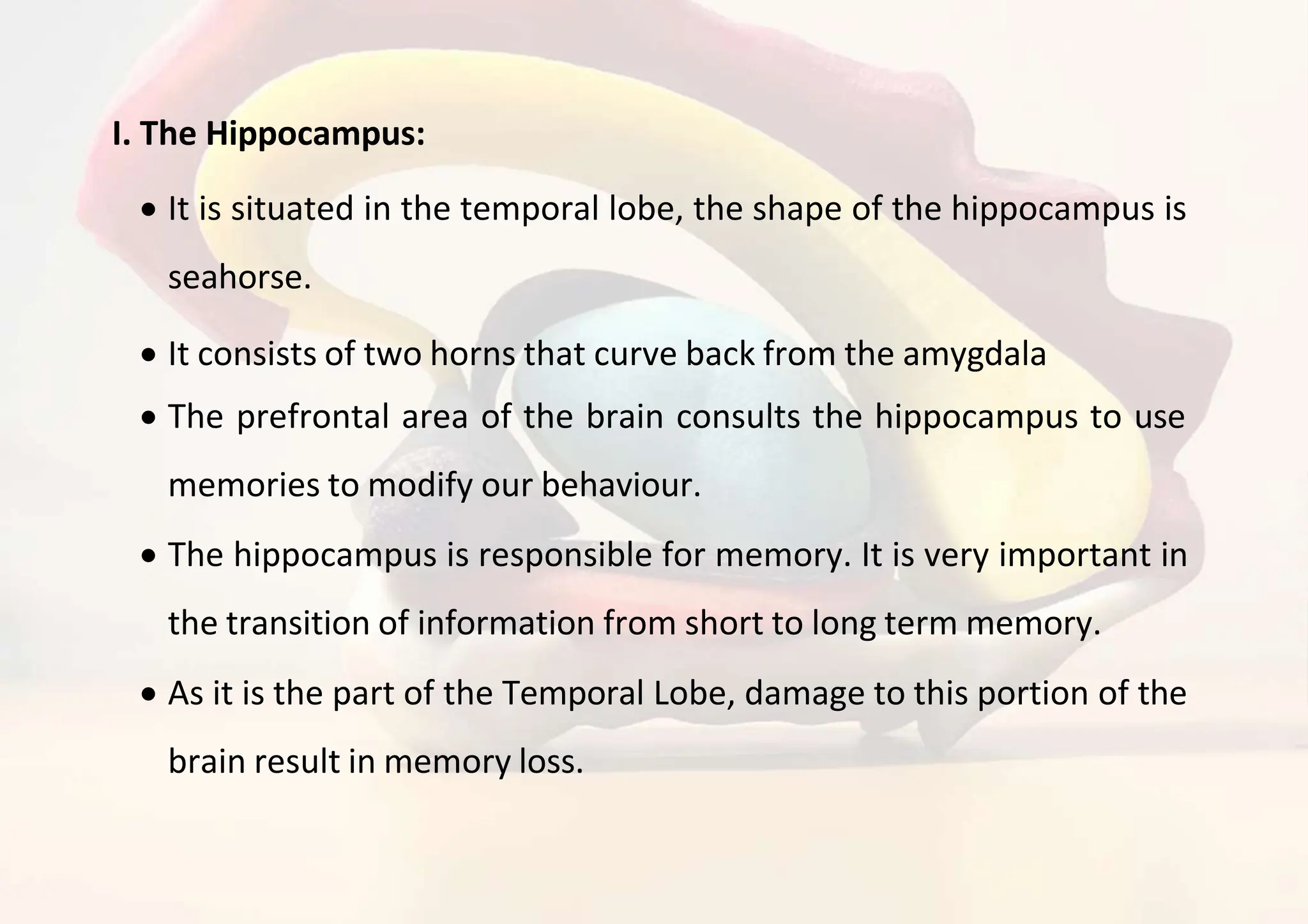 LIMBIC SYSTEM VENTICLES OF BRAIN CSF AND ITS FUNCTIONS | PPTX