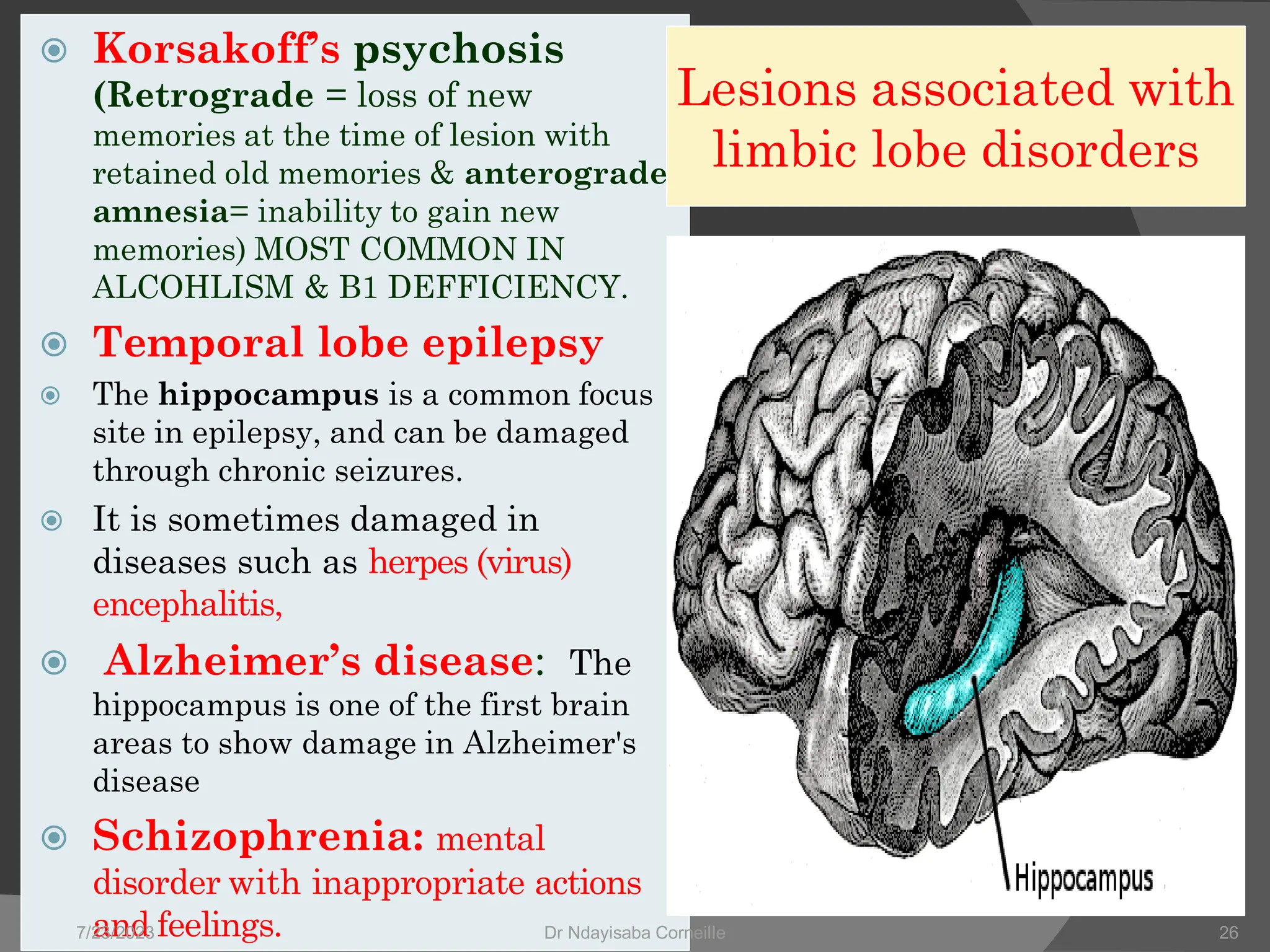 Anatomy and physiology of Limbic System.pdf
