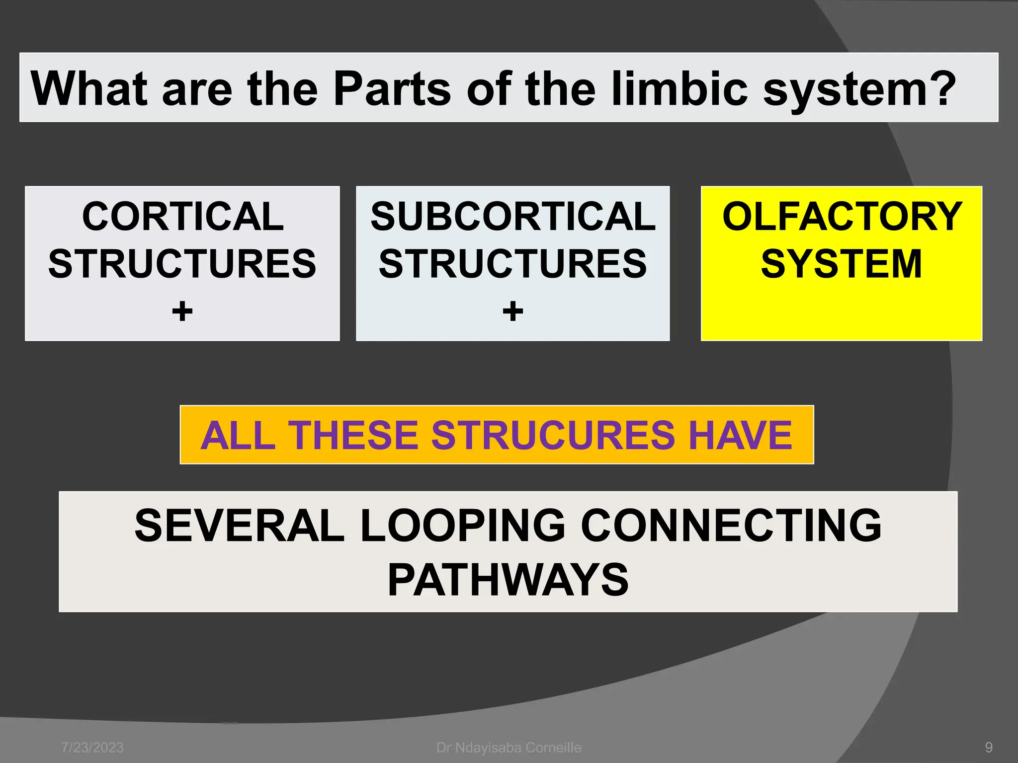 Anatomy and physiology of Limbic System.pdf