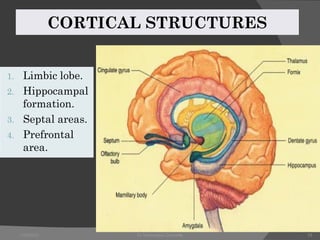 Anatomy and physiology of Limbic System.pdf