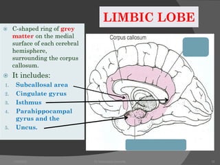 Anatomy and physiology of Limbic System.pdf