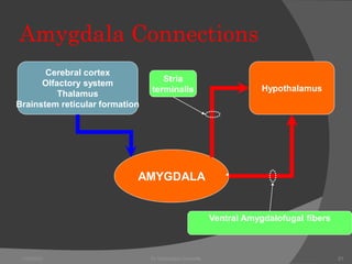 Anatomy and physiology of Limbic System.pdf