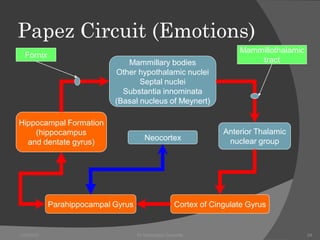 Anatomy and physiology of Limbic System.pdf