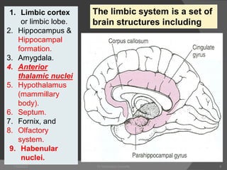 Anatomy and physiology of Limbic System.pdf