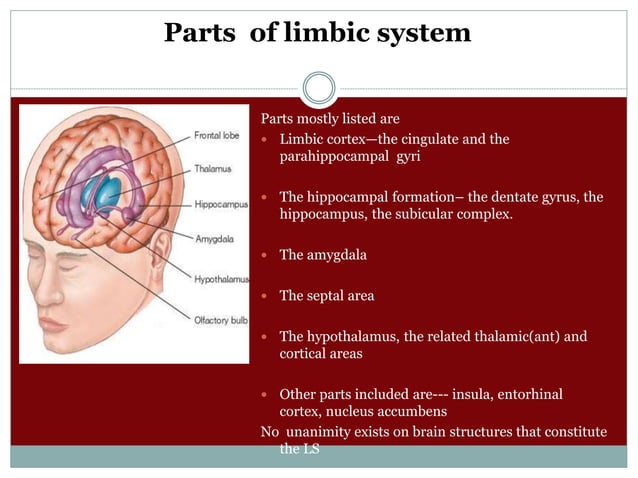 limbicsystem.pptThe limbic system is a group of interconnected brain ...