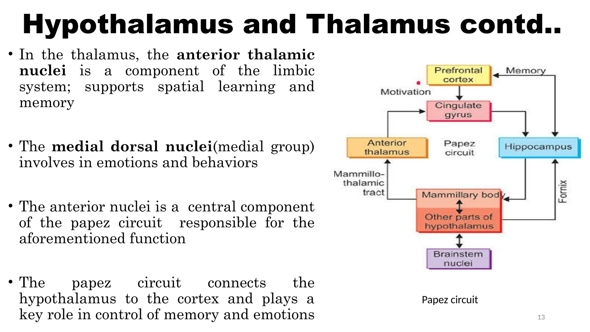 LIMBIC SYSTEM (Anatomy) ppt | PPTX