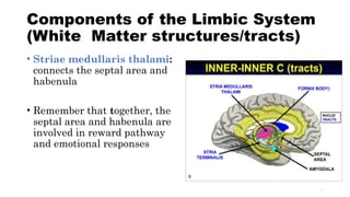 LIMBIC SYSTEM (Anatomy) ppt | PPTX