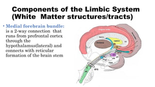 LIMBIC SYSTEM (Anatomy) ppt | PPTX
