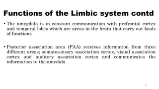 LIMBIC SYSTEM (Anatomy) ppt | PPTX