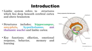 LIMBIC SYSTEM (Anatomy) ppt | PPTX