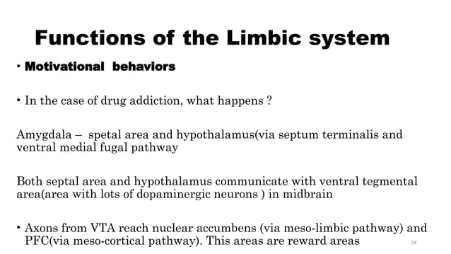 LIMBIC SYSTEM (Anatomy) ppt | PPTX | Brain and Nervous System Disorders ...
