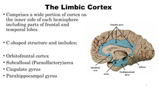 LIMBIC SYSTEM (Anatomy) ppt | PPTX