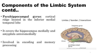 LIMBIC SYSTEM (Anatomy) ppt | PPTX