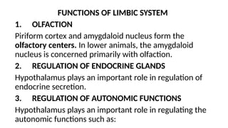 LIMBIC SYSTEM physiology on the limbic system | PPTX