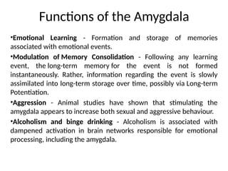 limbic system and its clinical importance.pptx
