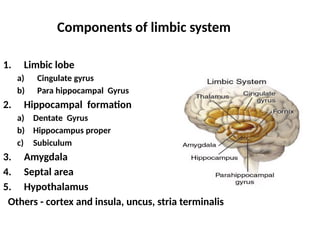 limbic system and its clinical importance.pptx