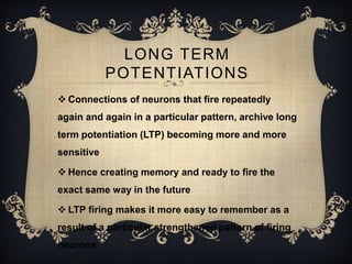 Limbic system and memory | PPTX