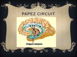 Limbic system and memory | PPTX
